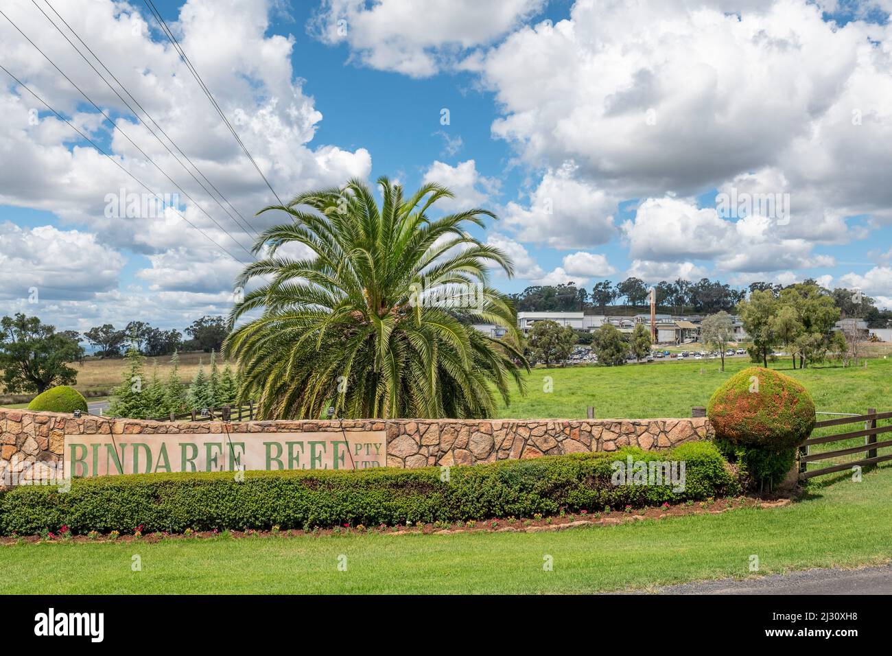 Bindaree hi-res stock photography and images - Alamy