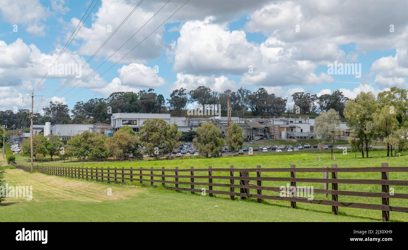 Bindaree hi-res stock photography and images - Alamy