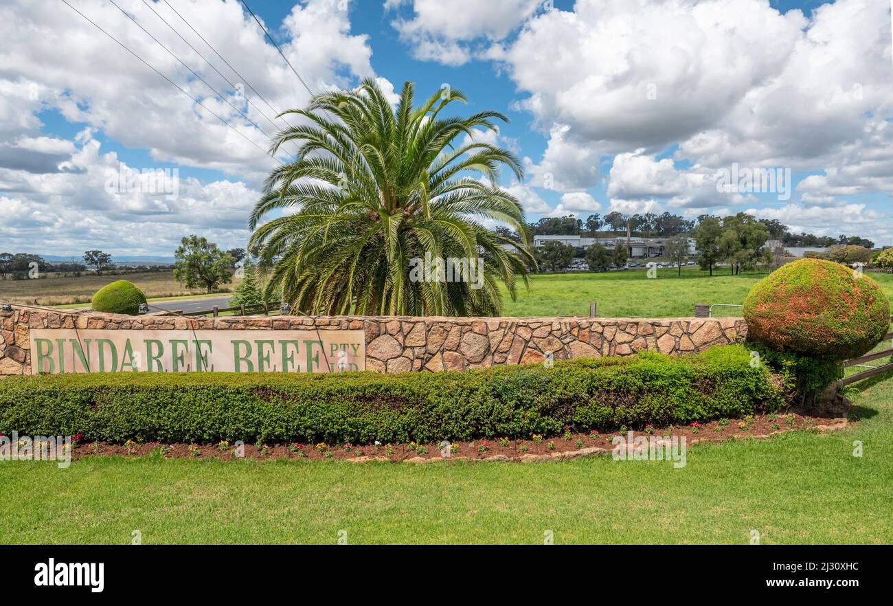 Bindaree hi-res stock photography and images - Alamy