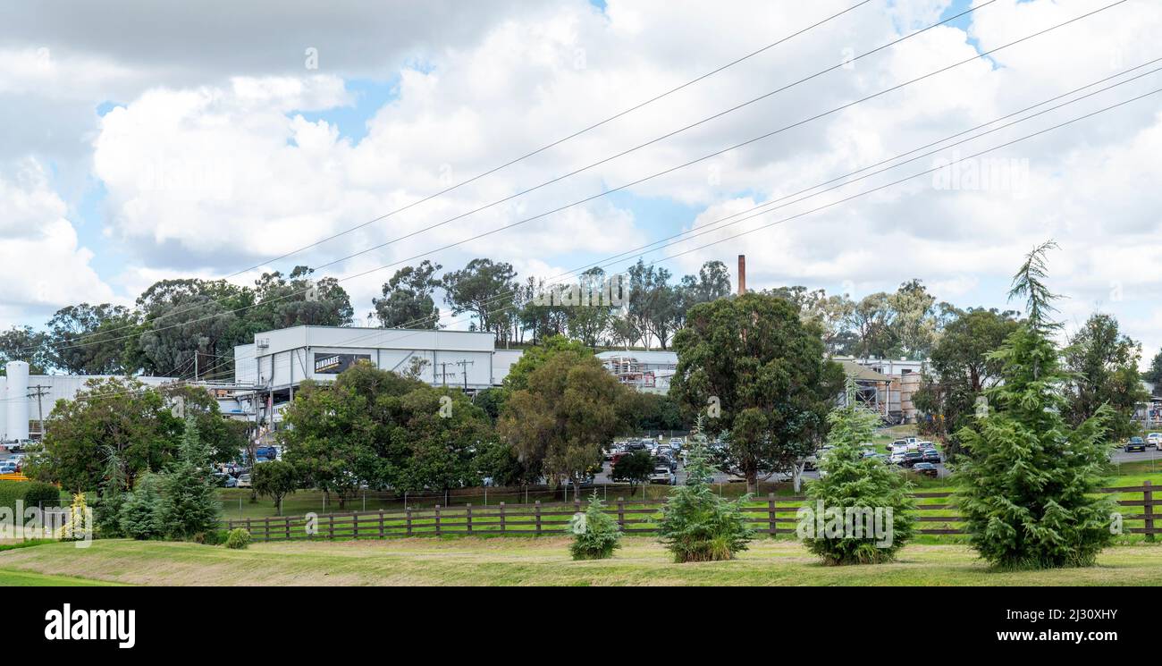 Bindaree hi-res stock photography and images - Alamy