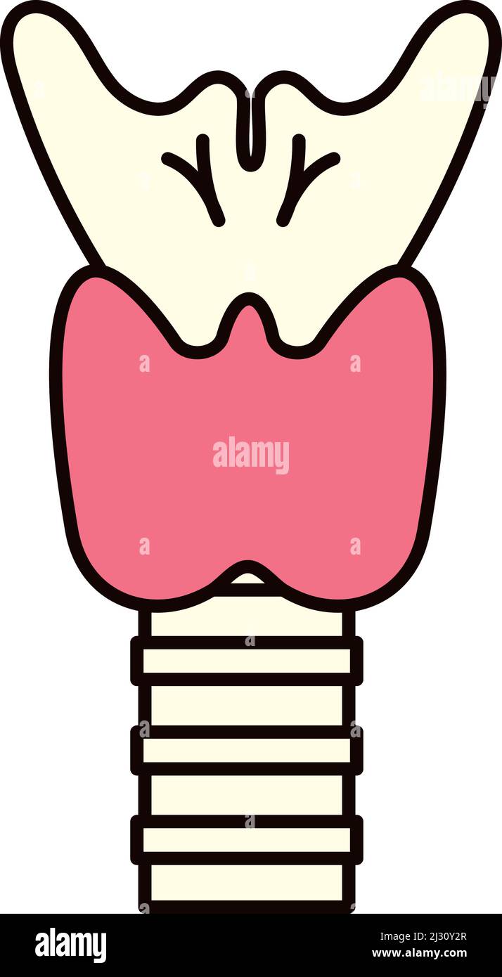 thyroid gland icon Stock Vector Image & Art - Alamy