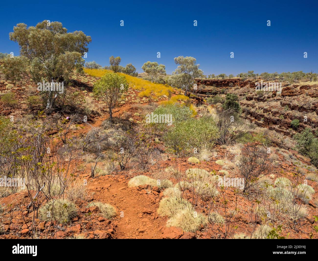 The Rim wallking track above Dales Gorge,.Karijini National Park ...