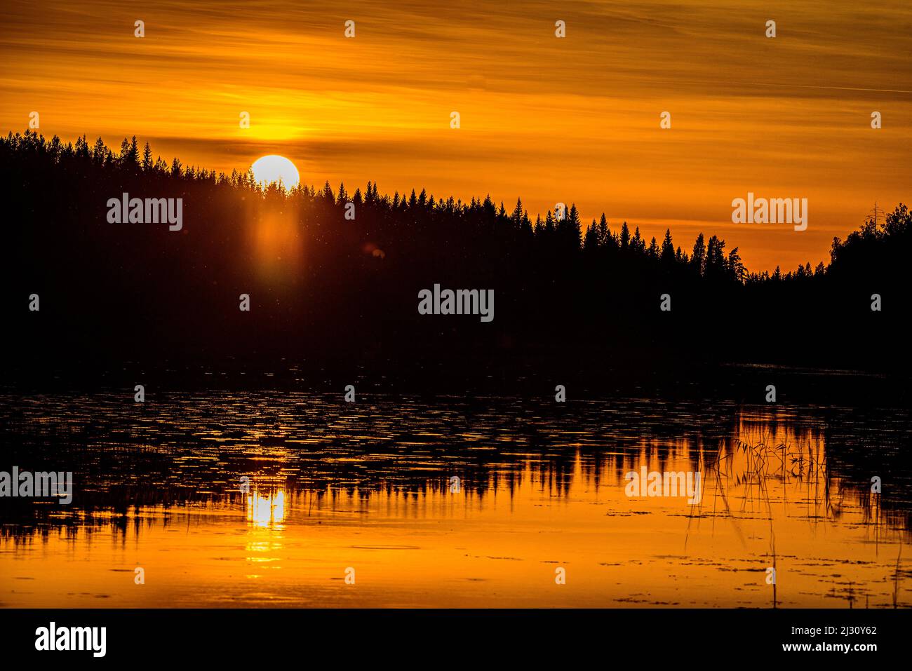 Sunset, between Juva and Sulkava leads the famous canoe tour Squirrel ...