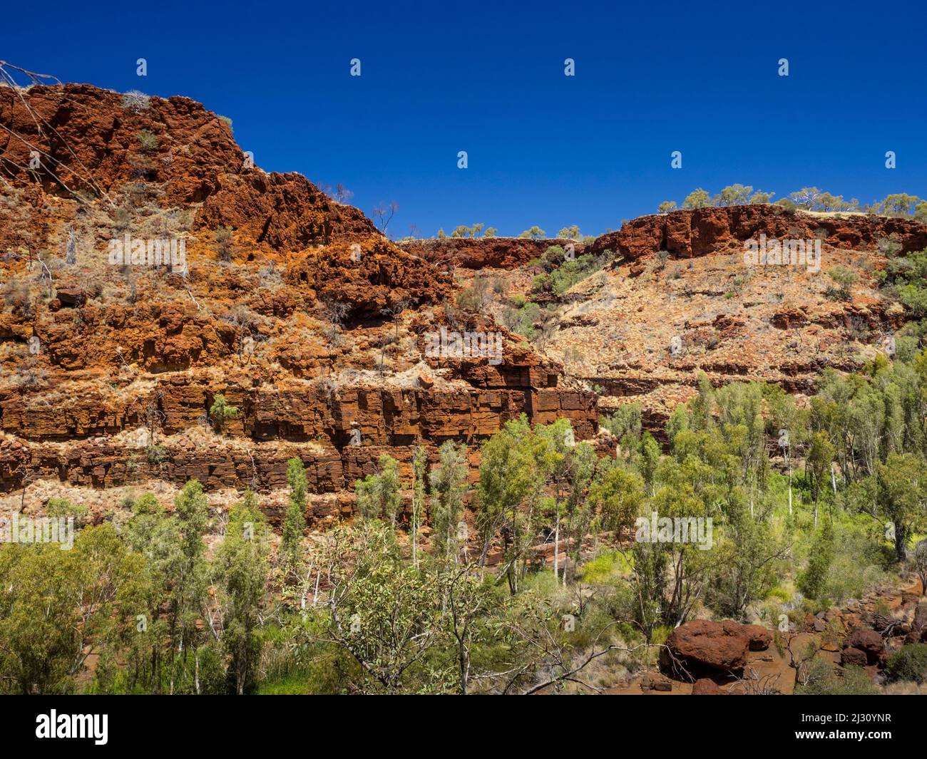 Dales Gorge from the Rim Track, Karijini National Park, Western ...
