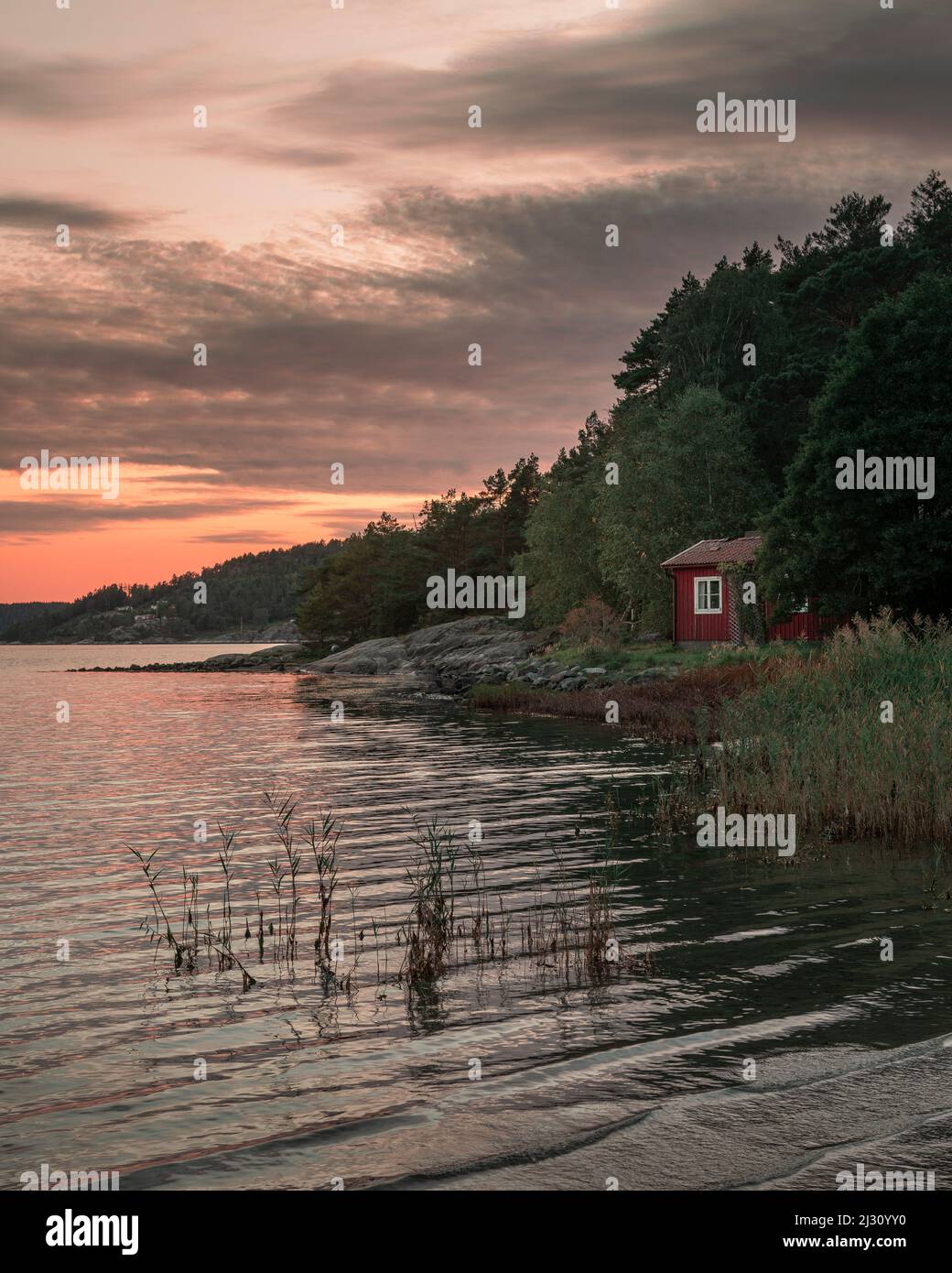 Red hut by the lake with reeds on Orust archipelago island on the west ...