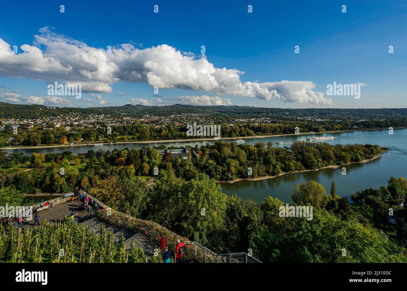 The Rhine island Nonnenwerth and the Rhine as seen from Rolandsbogen ...