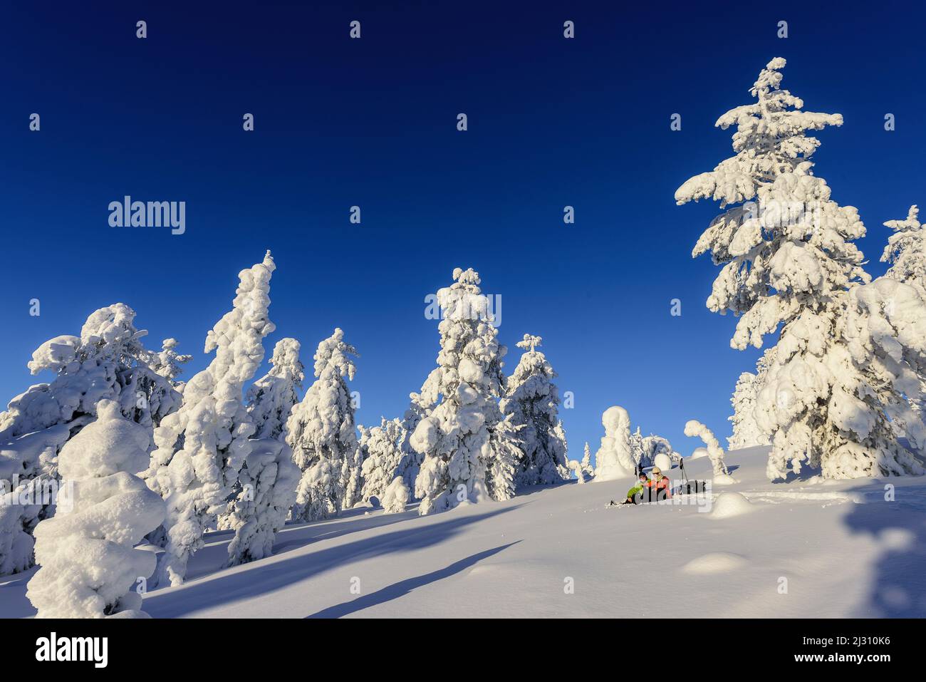 Snowshoeing lapland, finland hi-res stock photography and images - Alamy