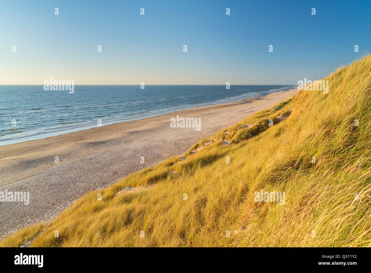 Beach and dunes at the North Sea, Løkken, North Jutland, Jutland ...
