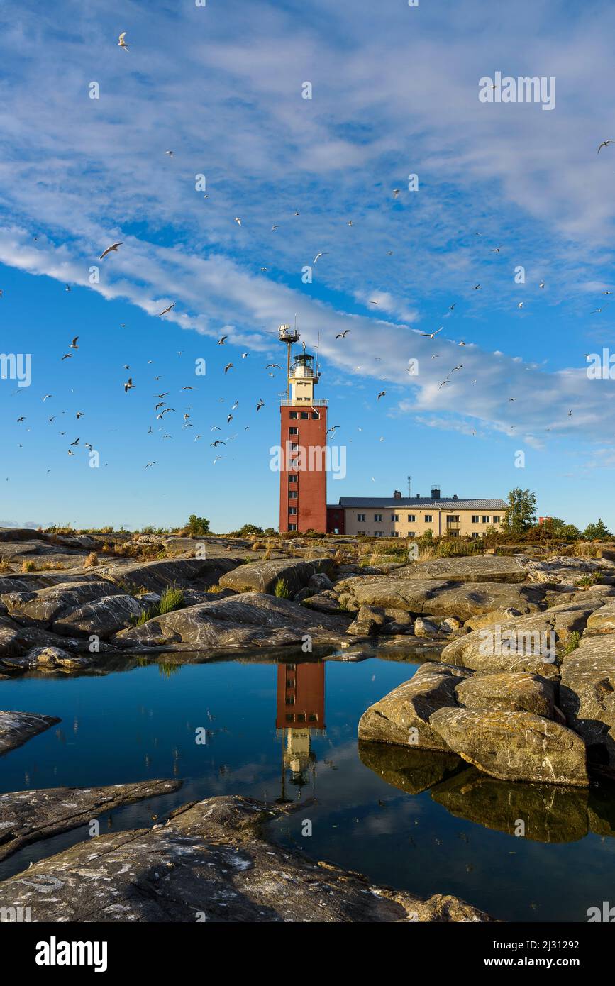Many birds breed on the lighthouse island Kylmaepiphlaja, lighthouse ...