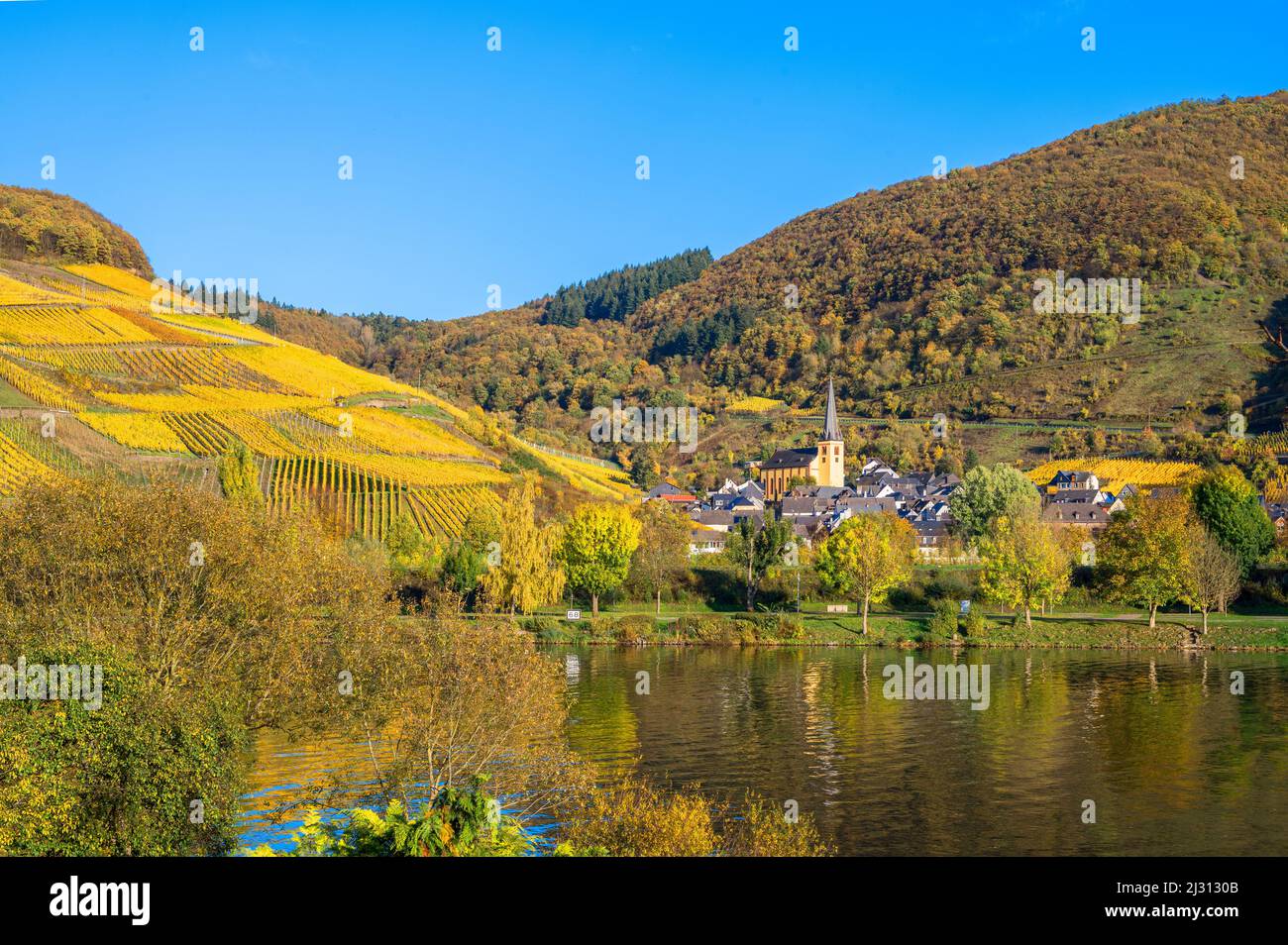 View of Senheim, Moselle, Rhineland-Palatinate, Germany Stock Photo - Alamy
