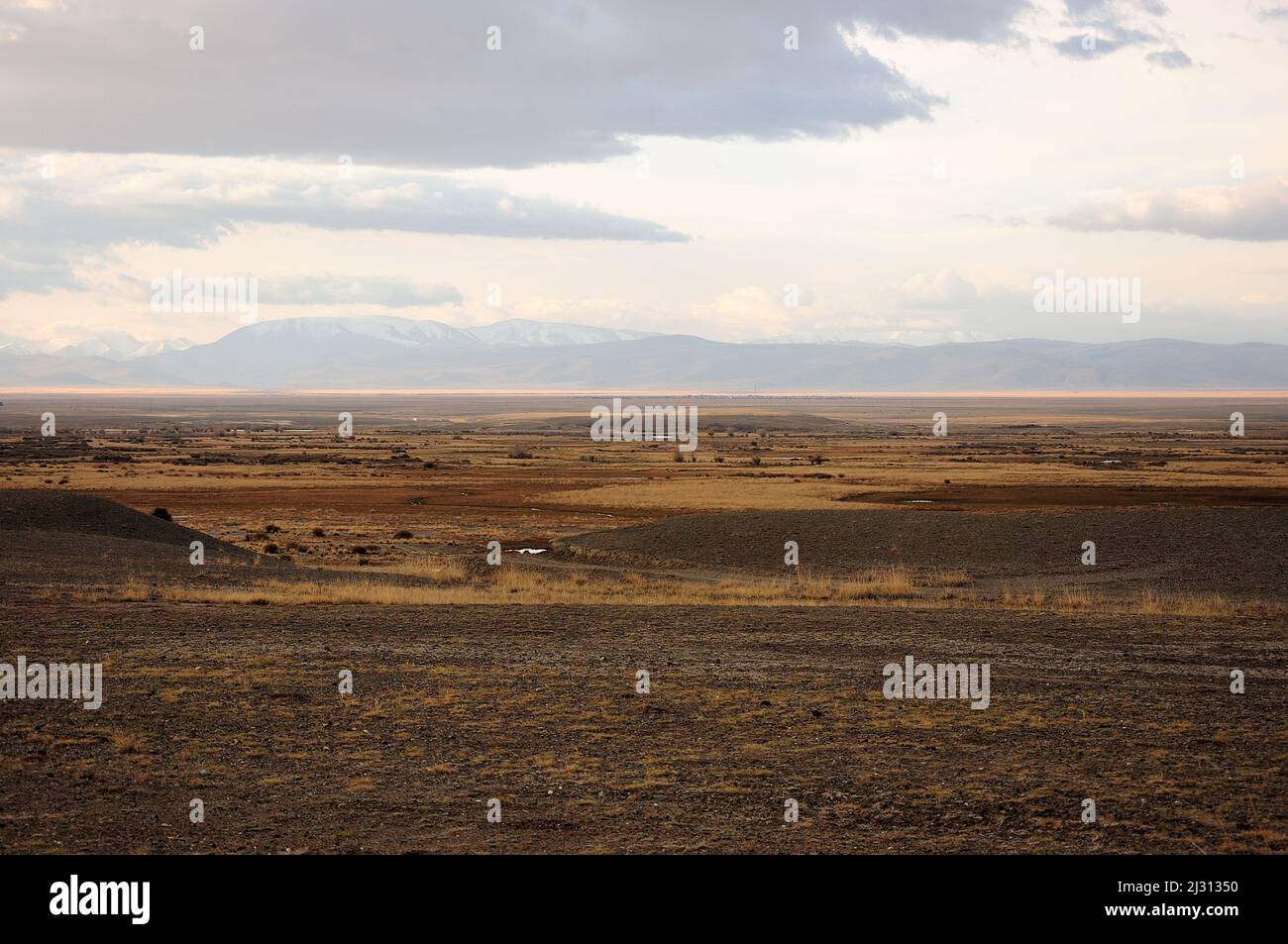 Dried autumn steppe at the foot of snow-capped mountain peaks on an ...