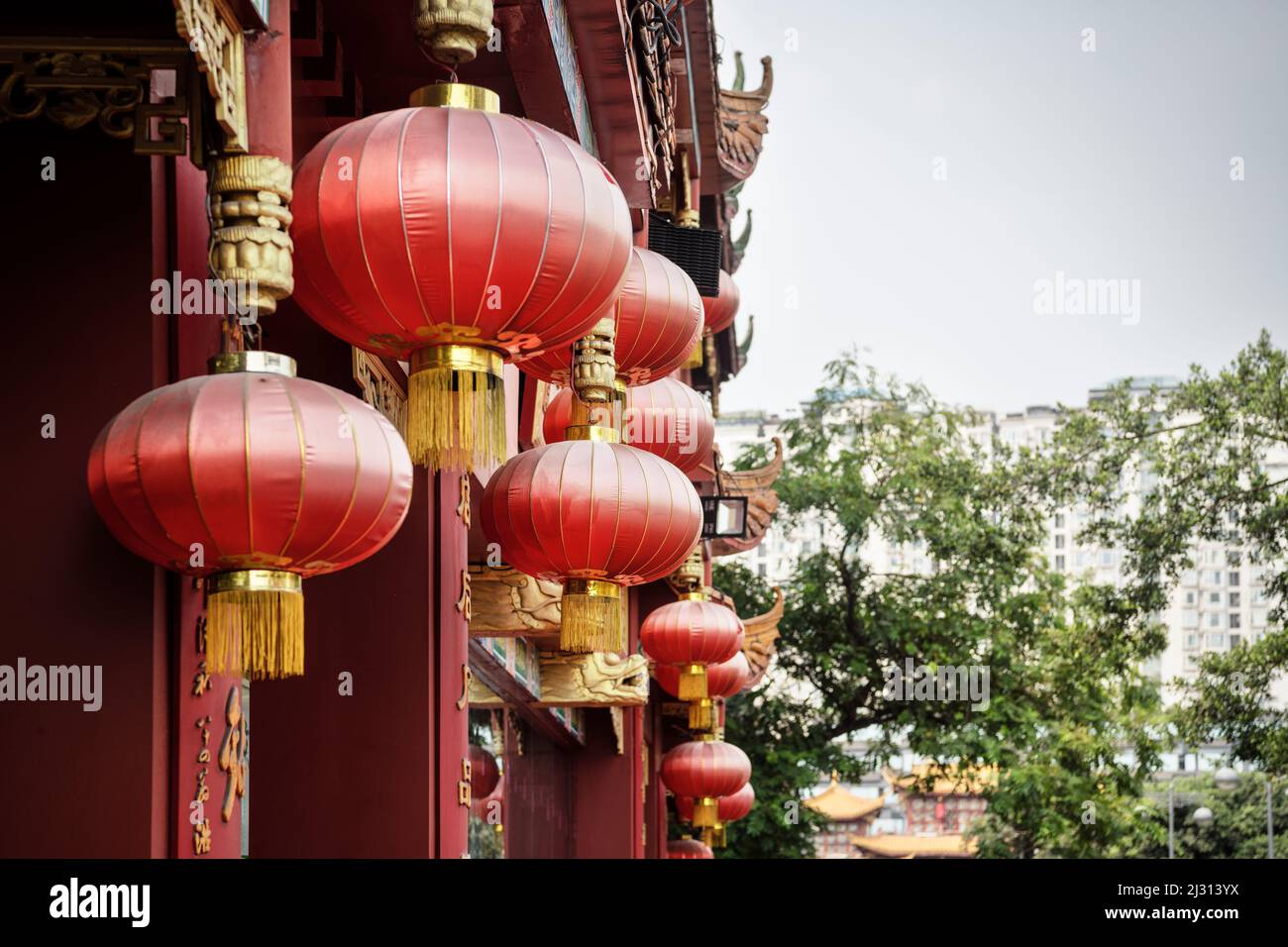 Chinese lampshades in Chengdu, Sichuan Province, China, Asia Stock ...