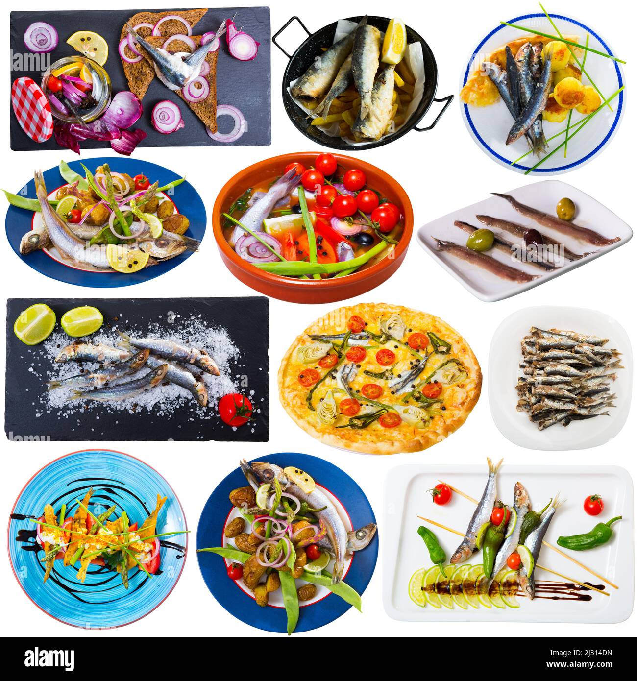 Collage of dishes with different seafood - sprat, hamsa, anchovy ...