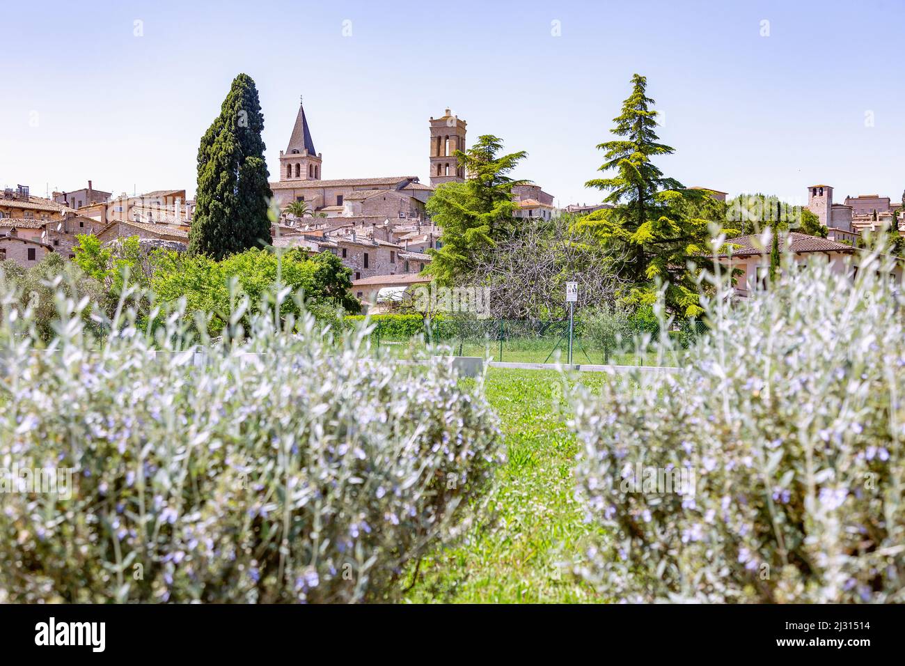 Umbria italy spello countryside hi-res stock photography and images - Alamy
