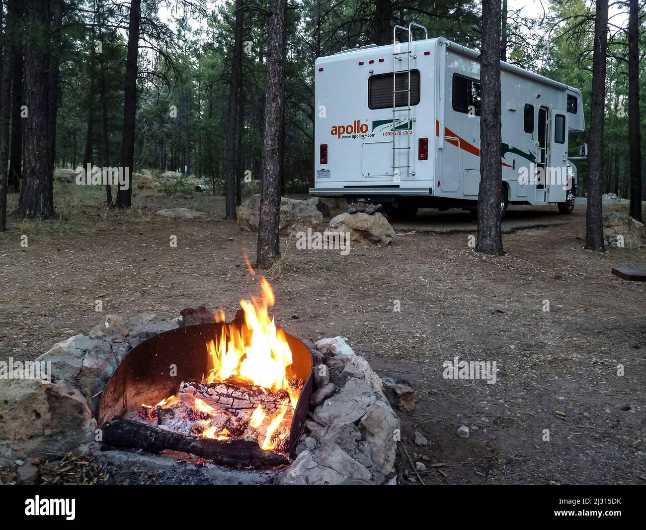 Campfire in the forest, Midwest, USA Stock Photo - Alamy