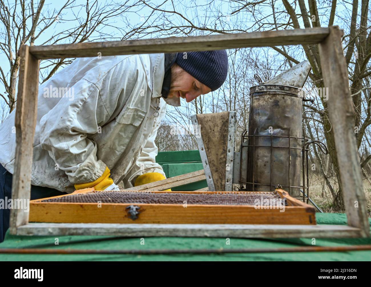 Cuddling bees hi-res stock photography and images - Alamy