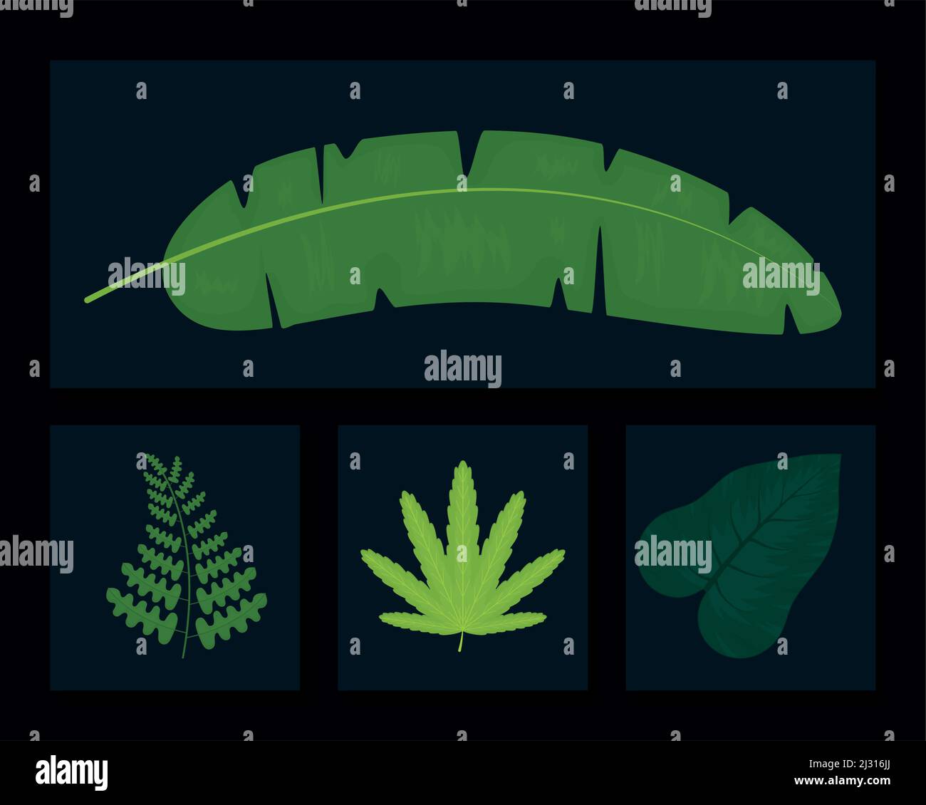 tropical leaves set Stock Vector Image & Art - Alamy