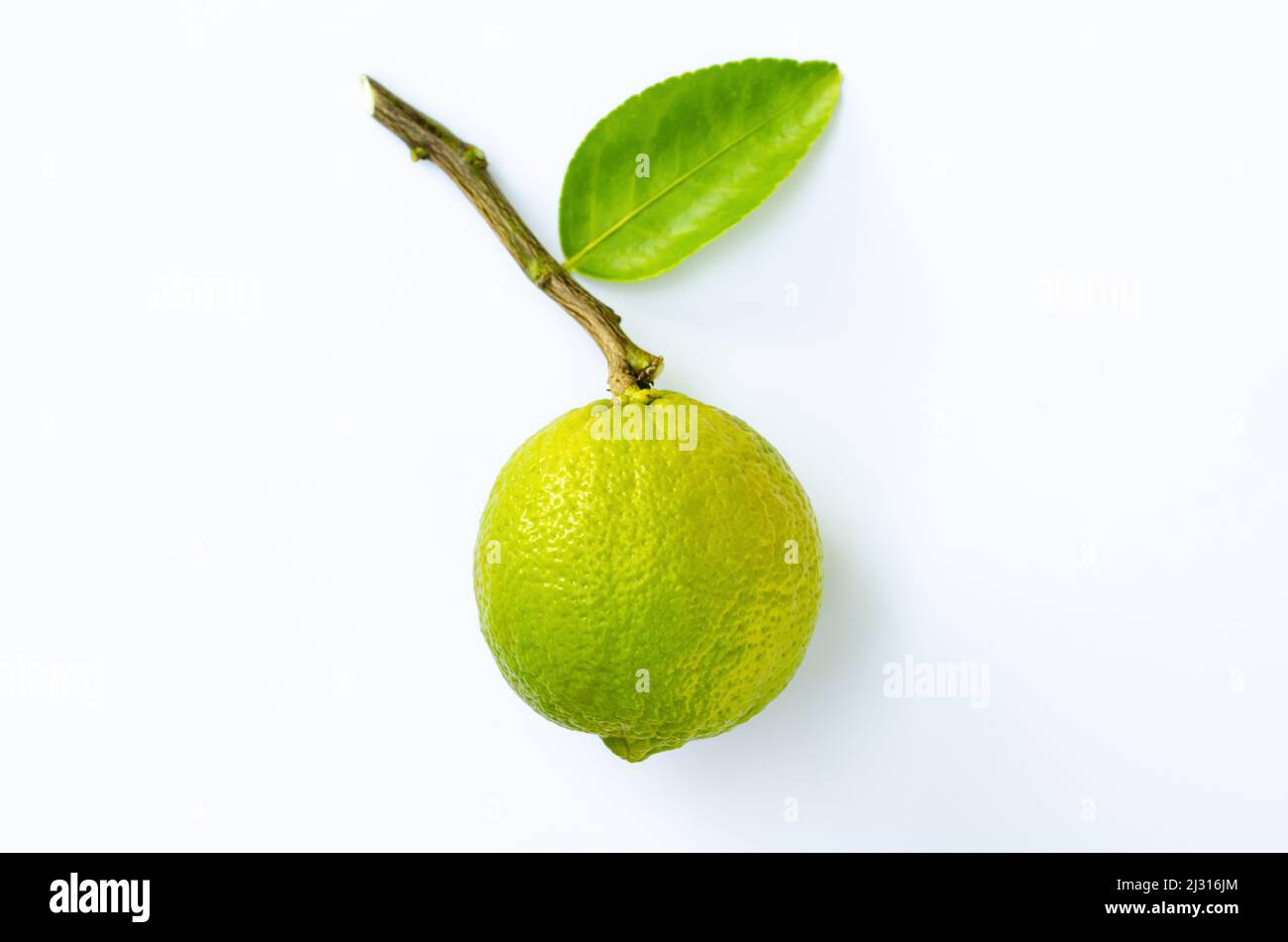 Green big organic lime with leaves put on white paper background Stock ...