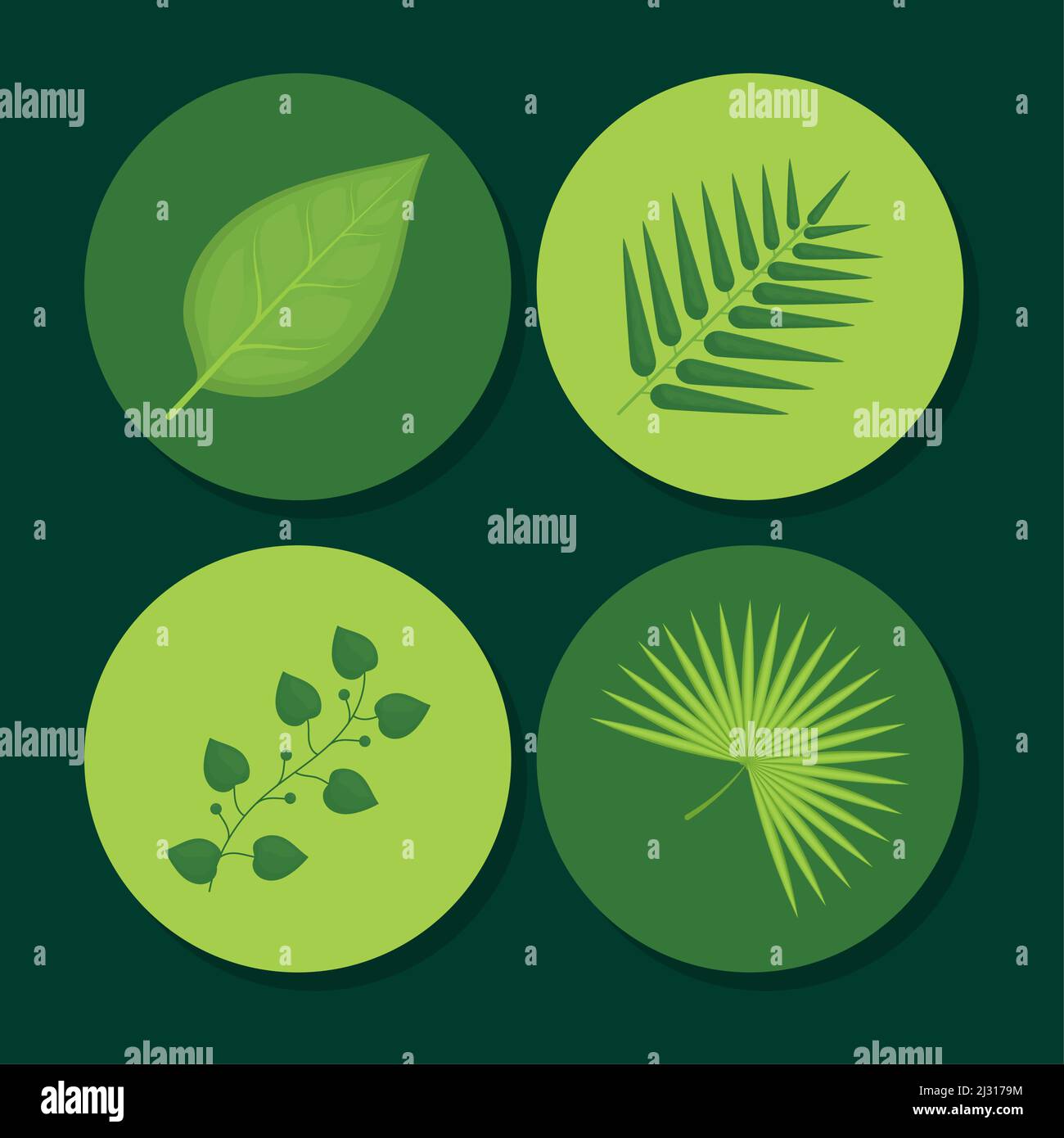 tropical leaves icon set Stock Vector Image & Art - Alamy