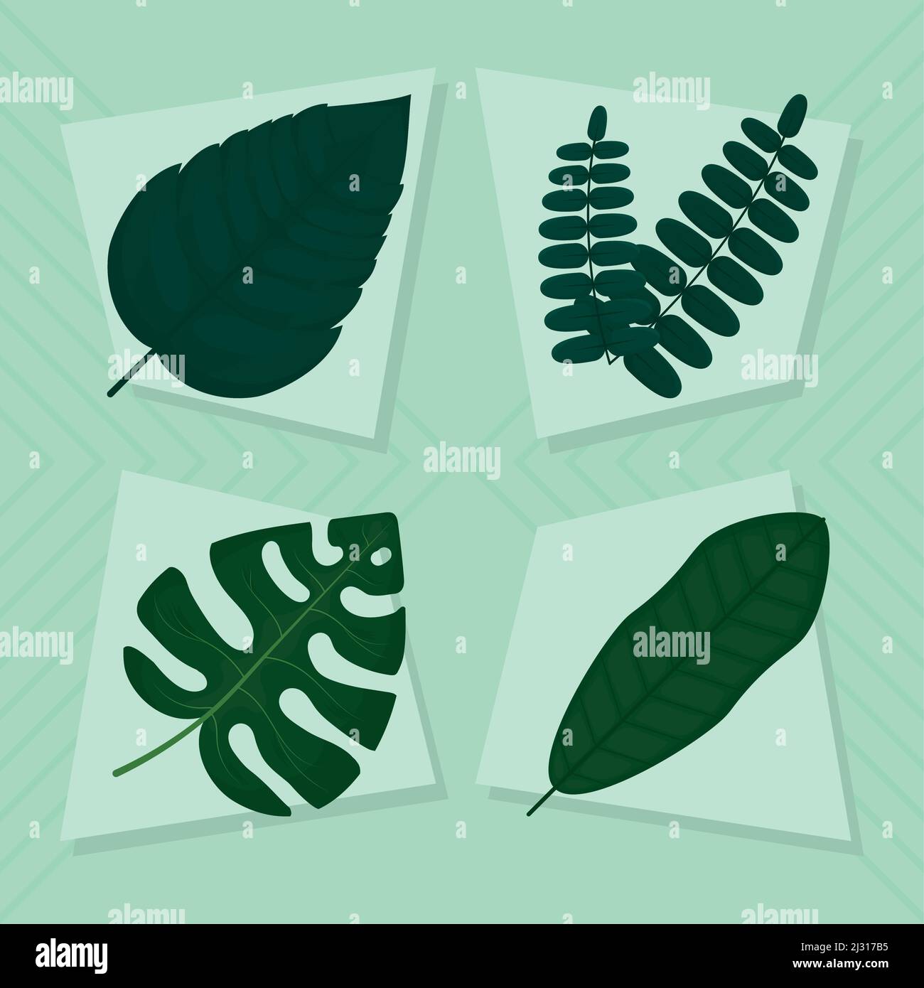 tropical leaves icon collection Stock Vector Image & Art - Alamy