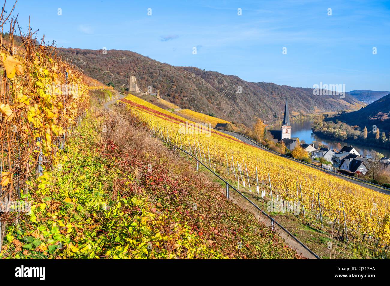 Anbaugebiet mosel hi-res stock photography and images - Alamy