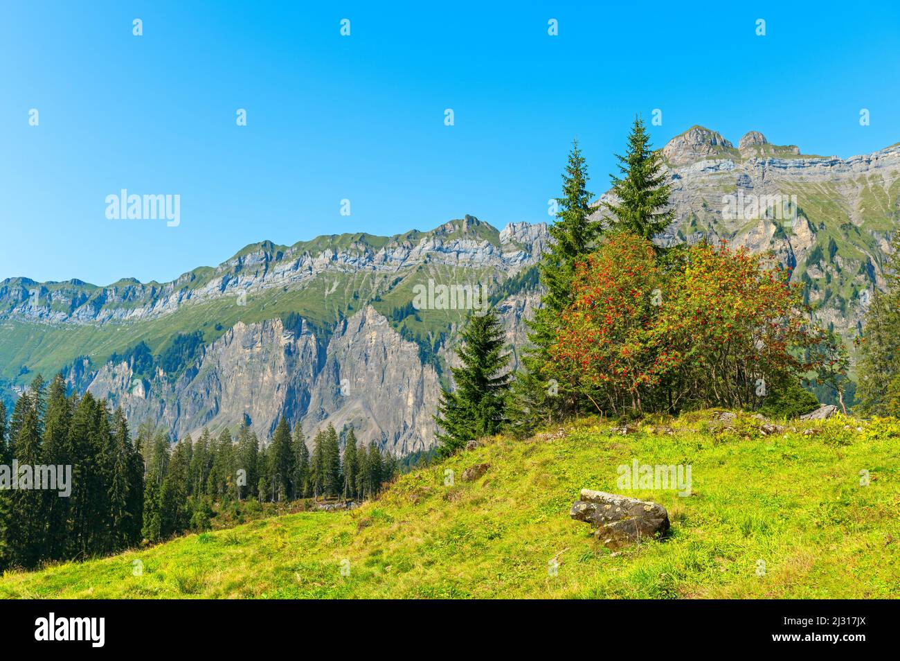 Schwyz alps glarus hi-res stock photography and images - Alamy