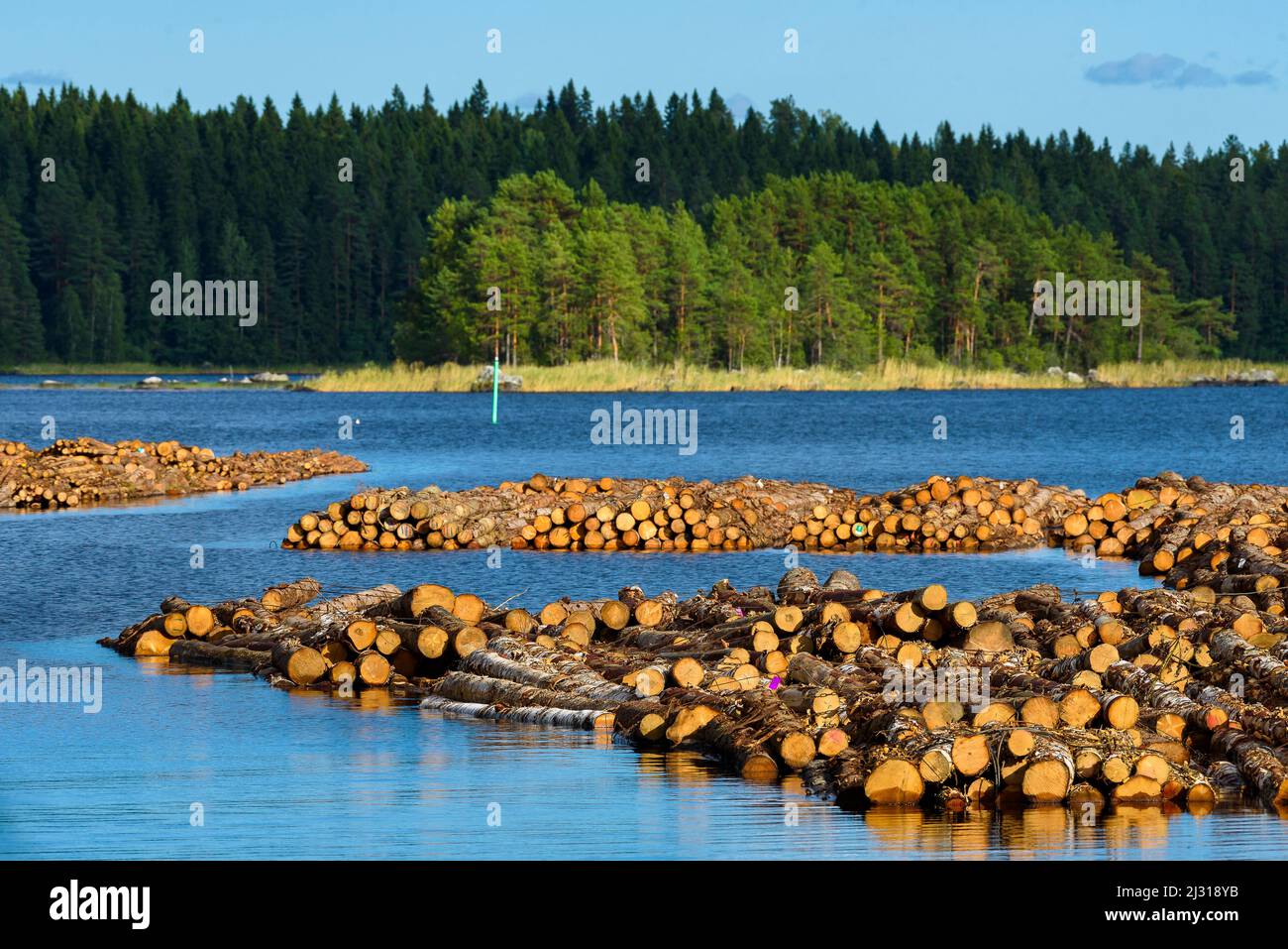 Floating tree trunks, rafting on the Finnish Lake District, Finland ...