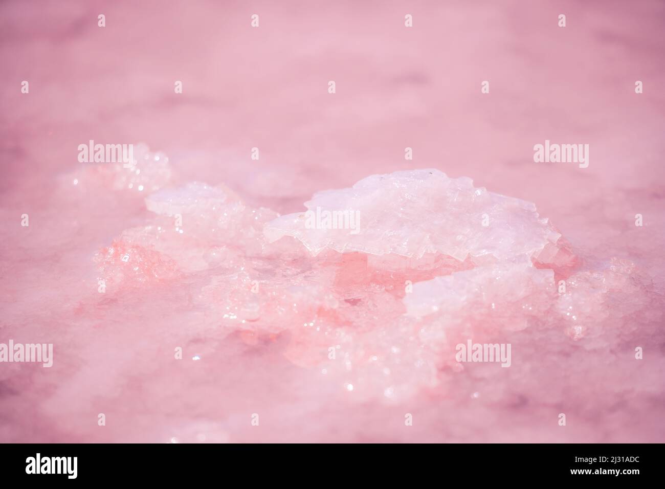 Pink salt cristales. Natural pink salt lake texture. Salt mining ...
