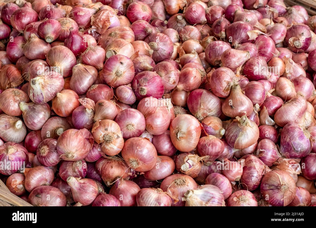 Harvested raw onions on a crate close up shot Stock Photo - Alamy