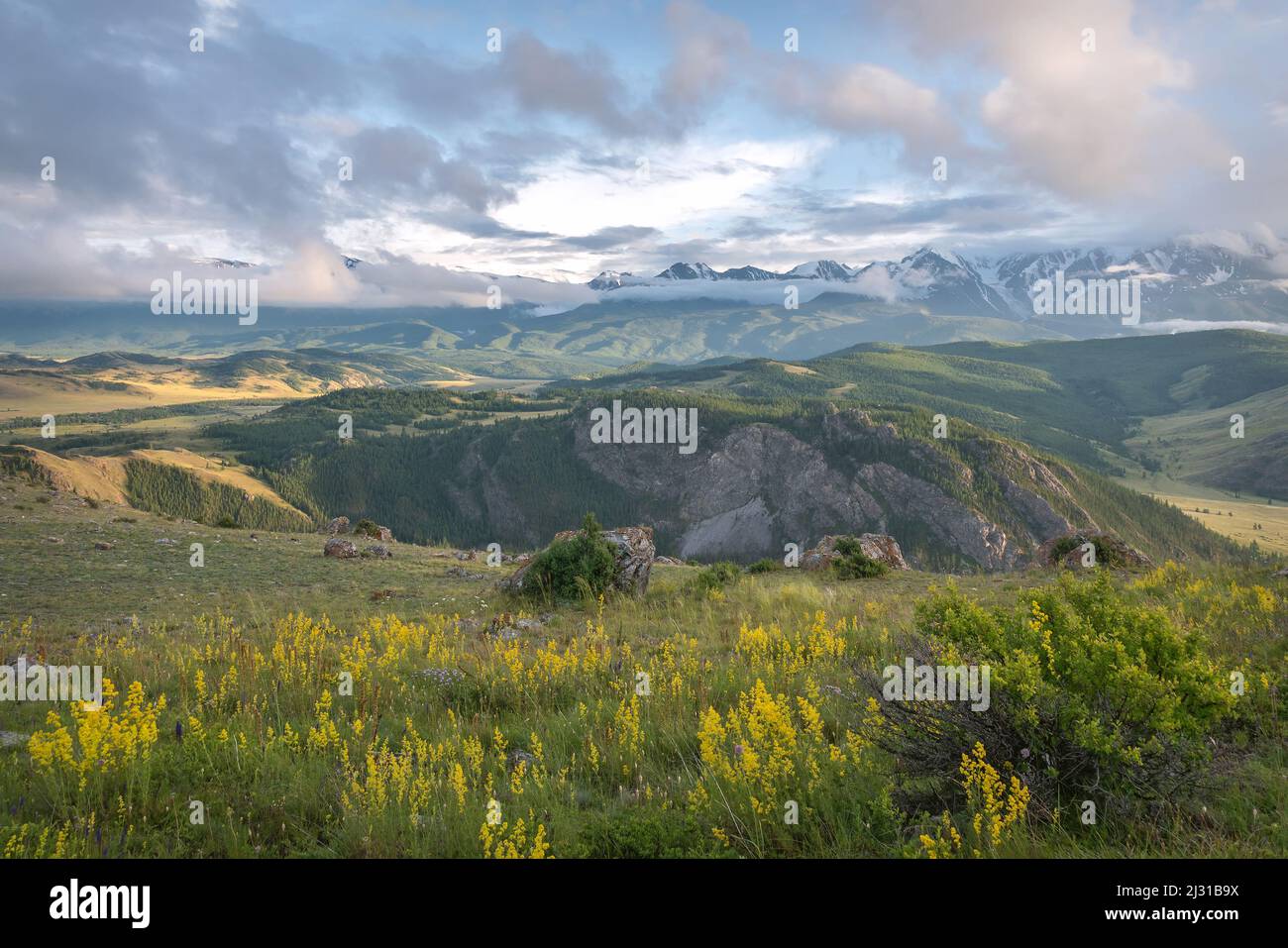 Amazing summer landscape with mountains covered with forest and snow ...