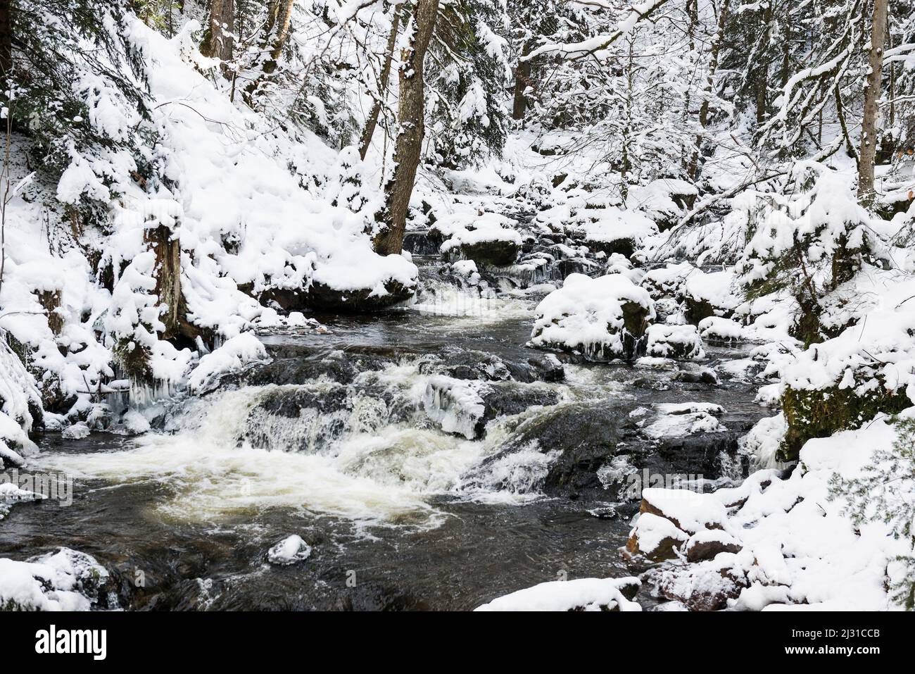 Ravennaschlucht with snow and ice, winter, near Hinterzarten, Black ...