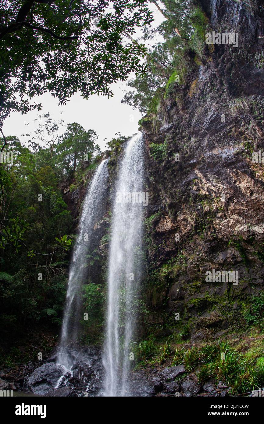 Twin Falls, Twin Falls Circuit, Springbrook Stock Photo - Alamy