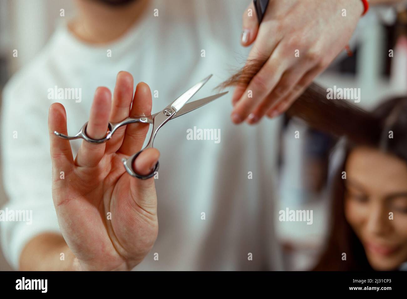 Close up of hairdresser hands holding a hair strand while cutting hair ...