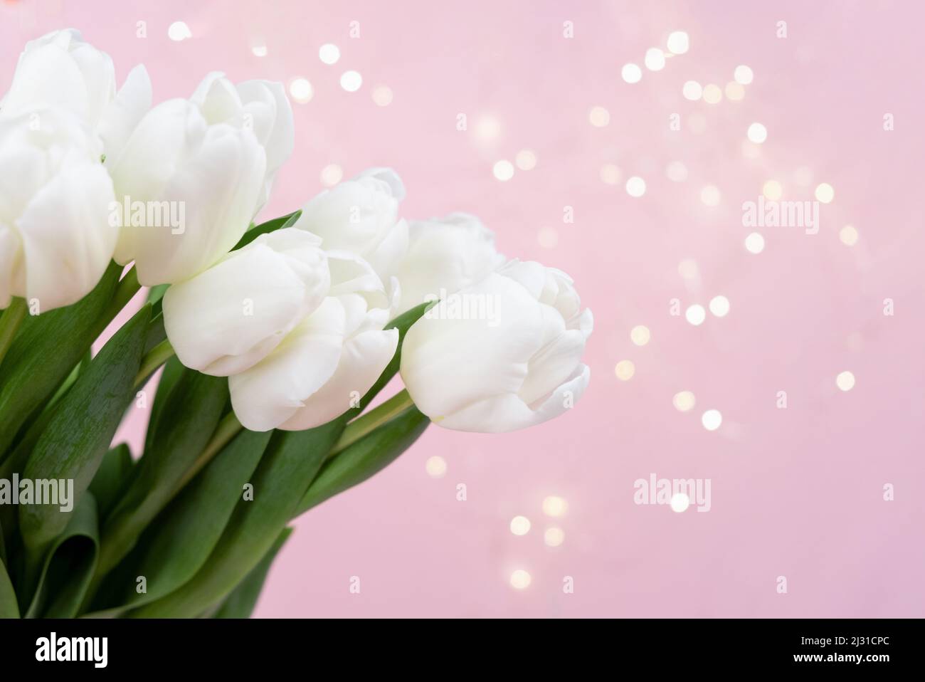 Beautiful delicate bouquet of tulip flowers on pink background header ...