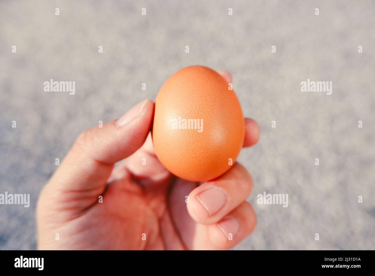 Chicken egg in human hi-res stock photography and images - Alamy