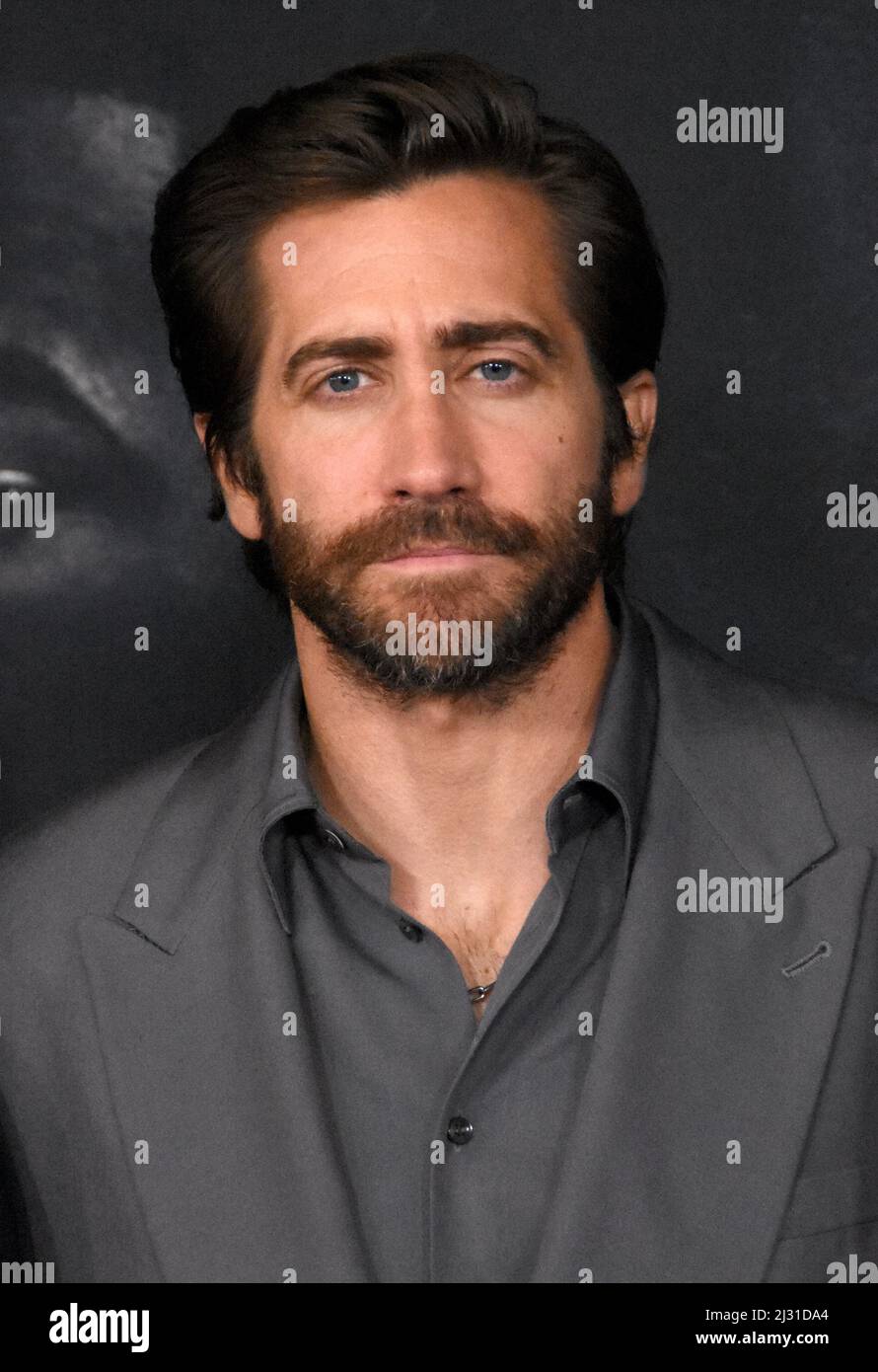 Jake Gyllenhaal Beard 2022