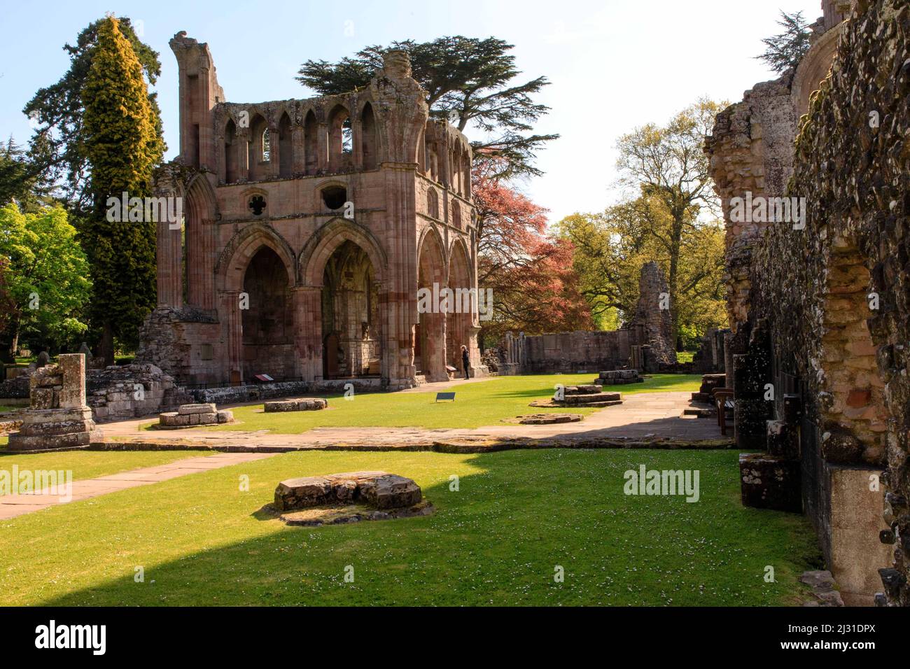 Dryburgh Abbey, romantic abbey ruin, Borders, Scotland, UK Stock Photo ...