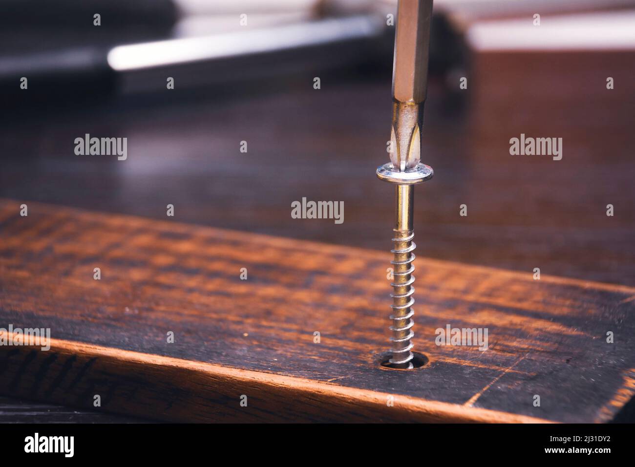 Carpenter is fasten bolt with a cross screwdriver into a hardwood board ...