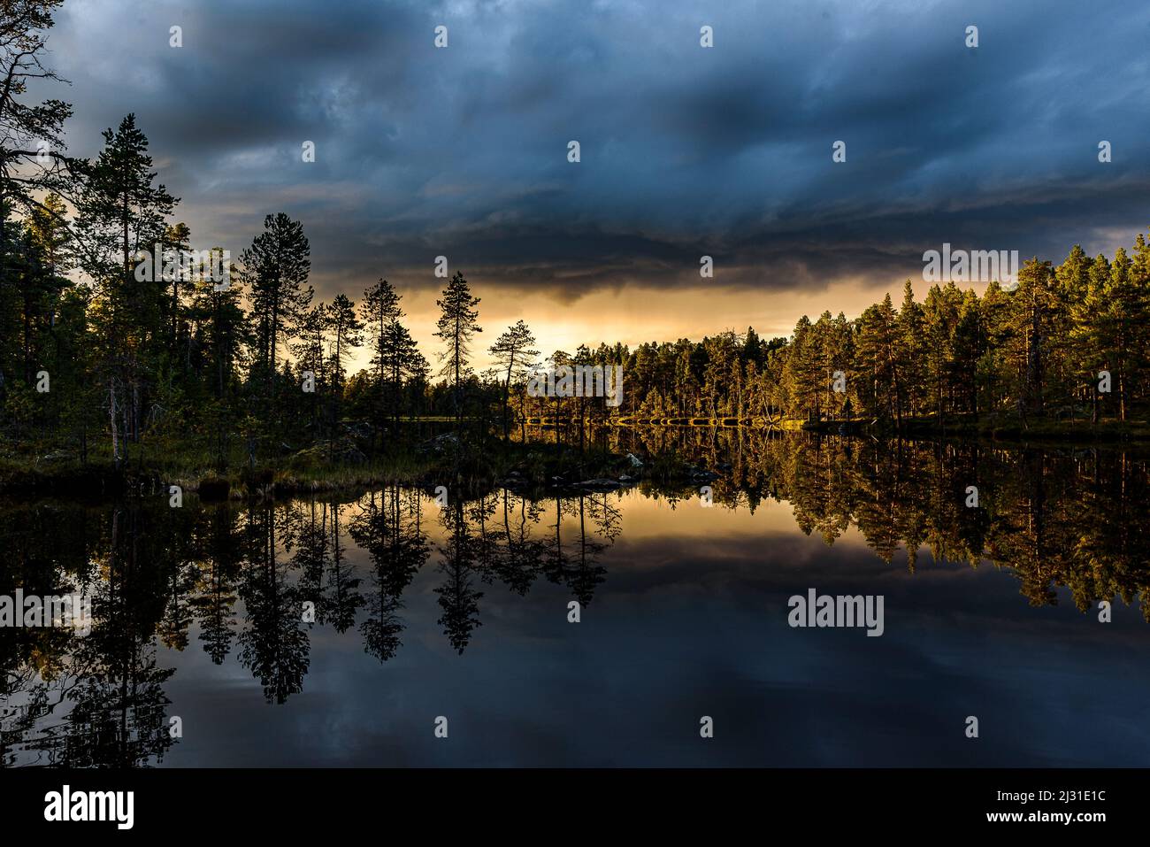 Scenery on the hike to Pielpajärvi Desolation Church, Inari, Finland ...