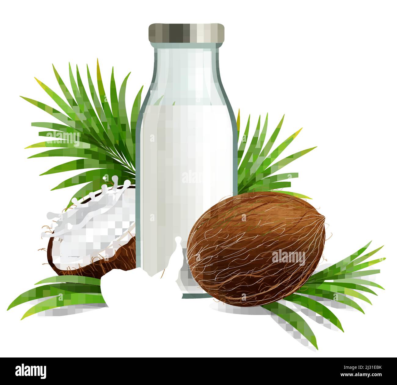 Organic non dairy coconut milk vector realistic illustration Stock ...