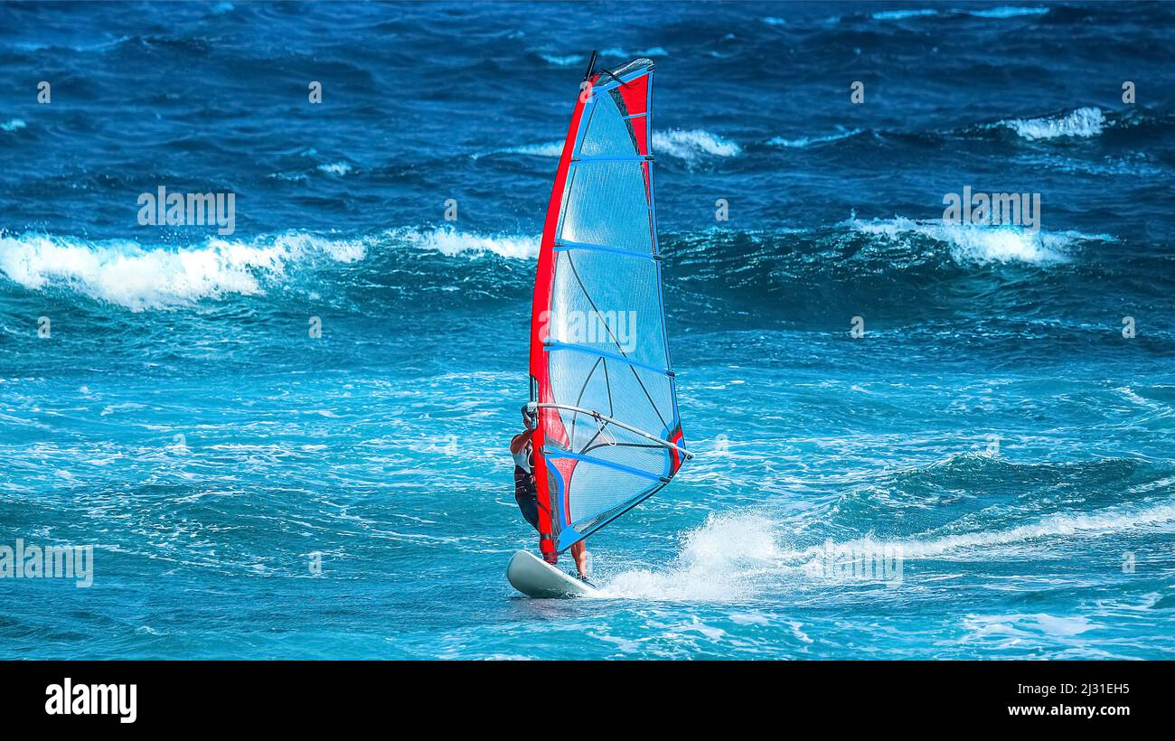 aquatic sports: a surfer with red and blue sail during a windy summer ...