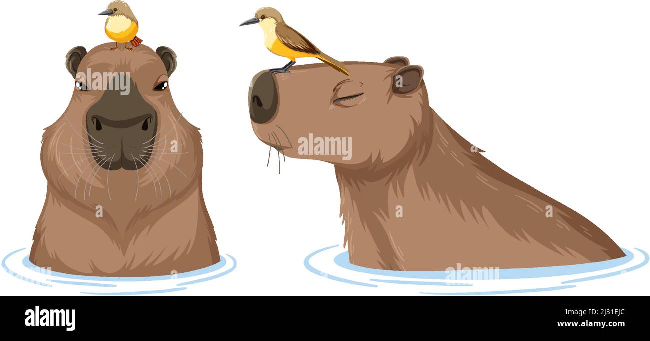 Set of different capybara in cartoon style illustration Stock Vector ...
