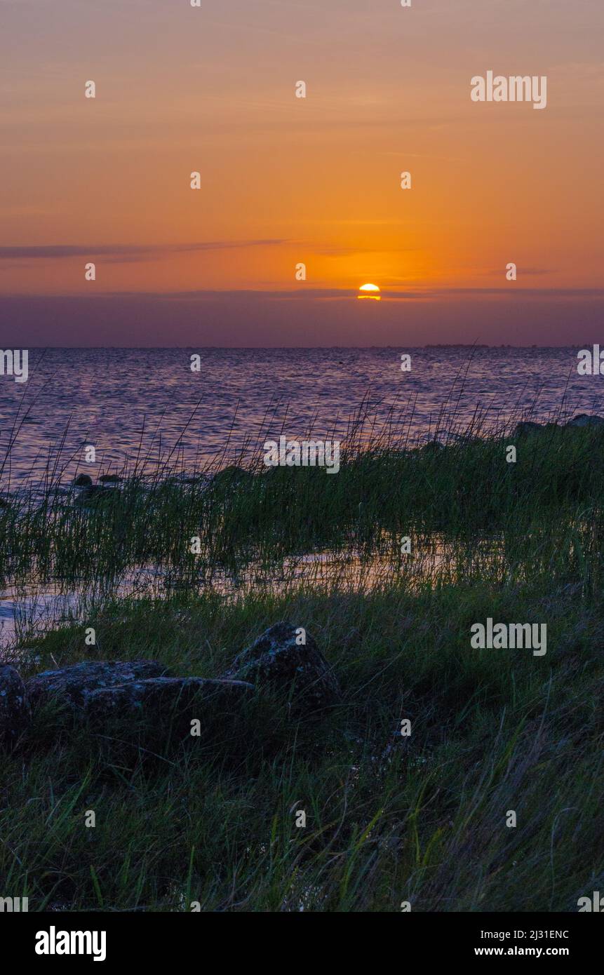 Texas coast grass hi-res stock photography and images - Alamy