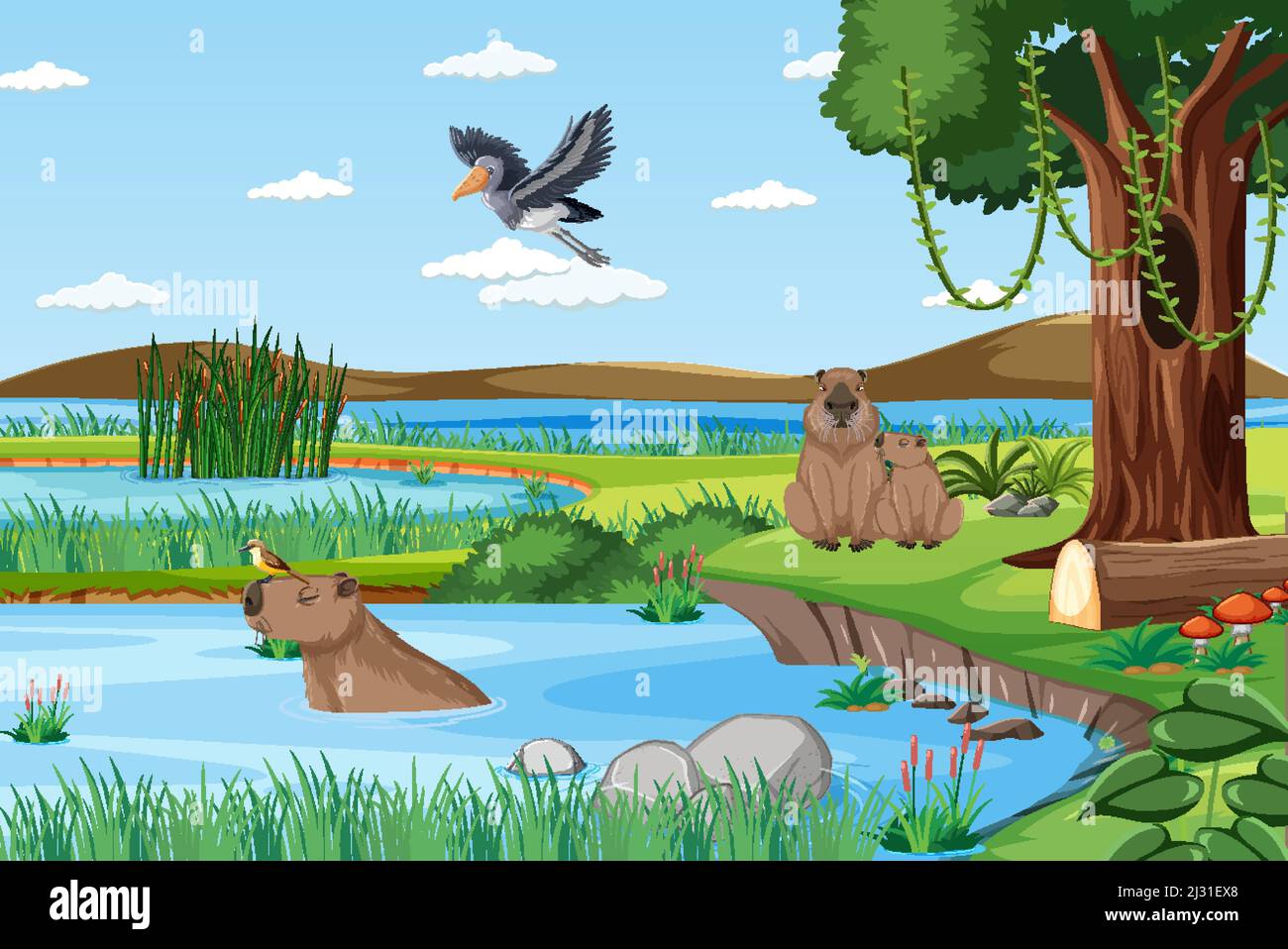 Many animal next to river illustration Stock Vector Image & Art - Alamy
