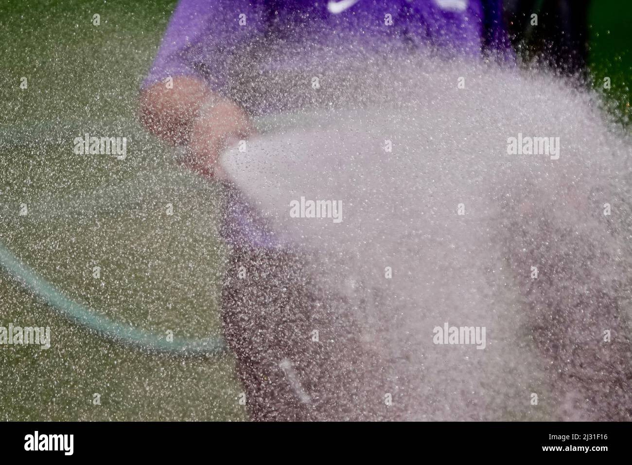 A groundskeeper sprays water on the infield dirt of a baseball diamond ...