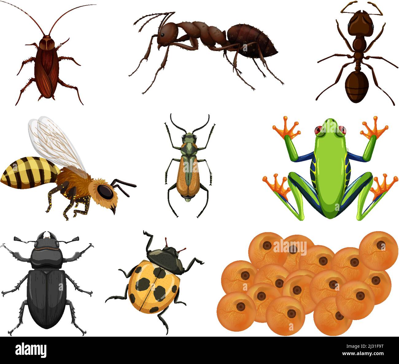 Different kinds of insects and animals on white background illustration ...