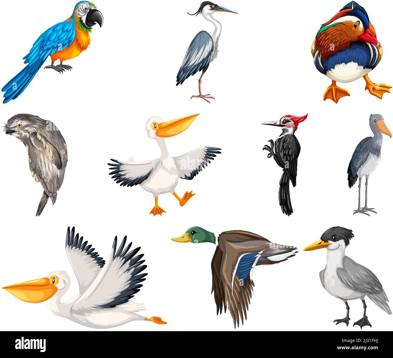 Different kinds of birds collection illustration Stock Vector Image ...