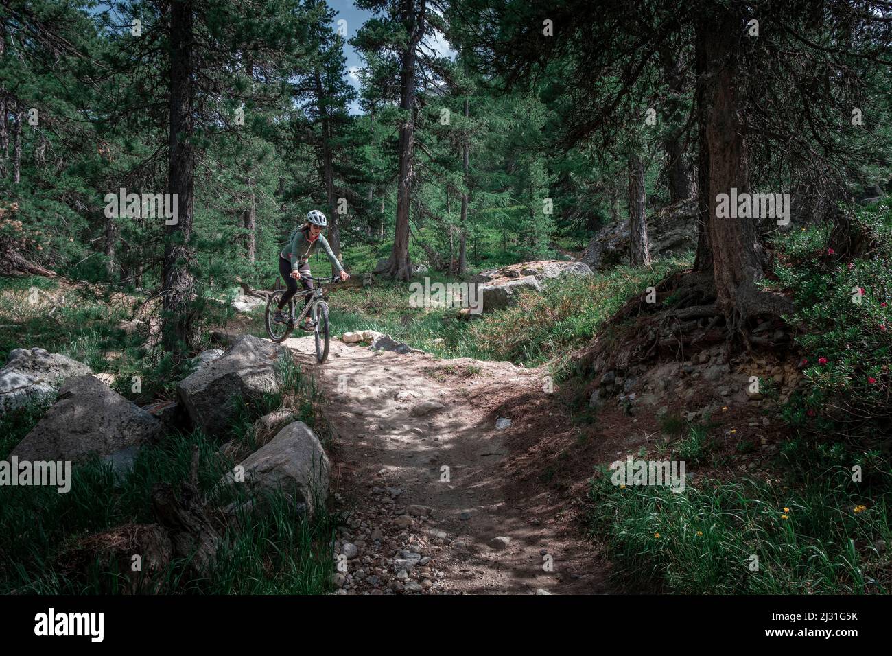 Mountain biking on the Bernina Express trail route from the Lago Bianco ...