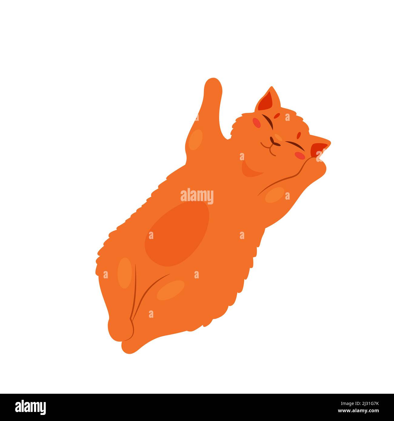 Angry cat lying Stock Vector Images - Alamy