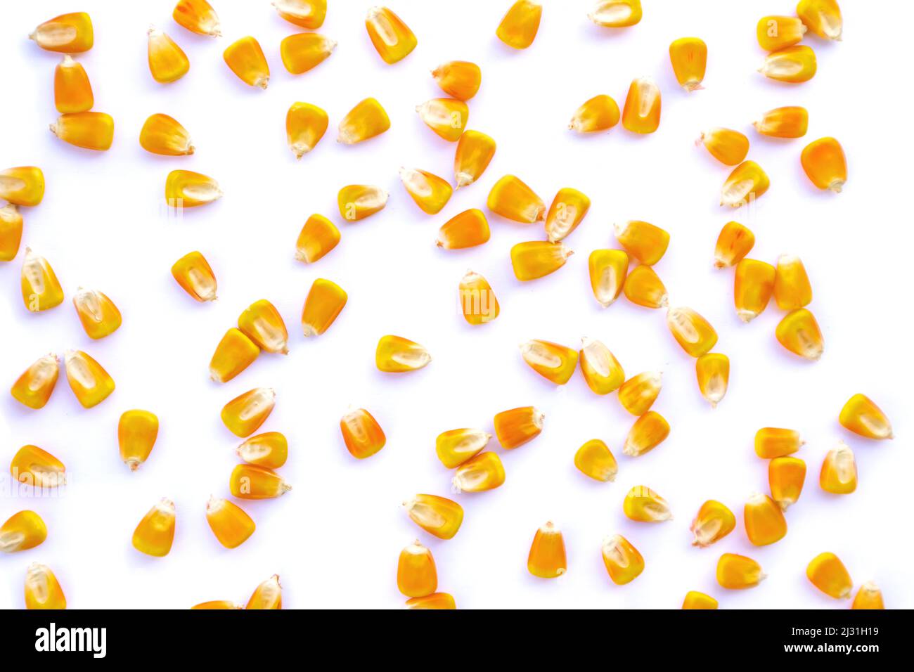 Heap of raw corns seeds, maize or sweetcorn kernels top view isolated ...